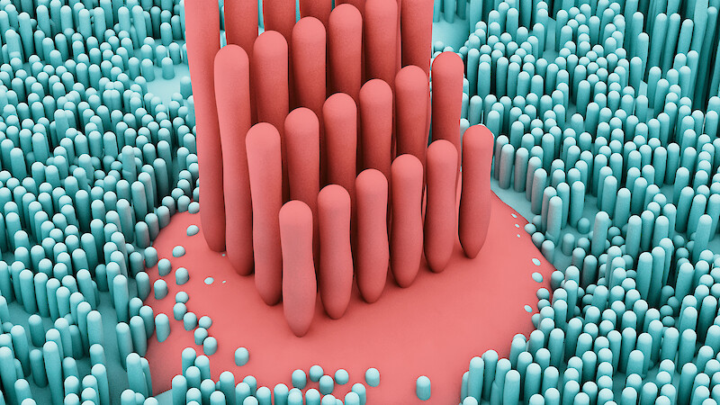 Visuals for Scientists – Knowledge Visualization ZHdK