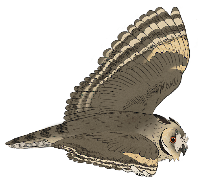 Jägerin der Nacht – Knowledge Visualization ZHdK