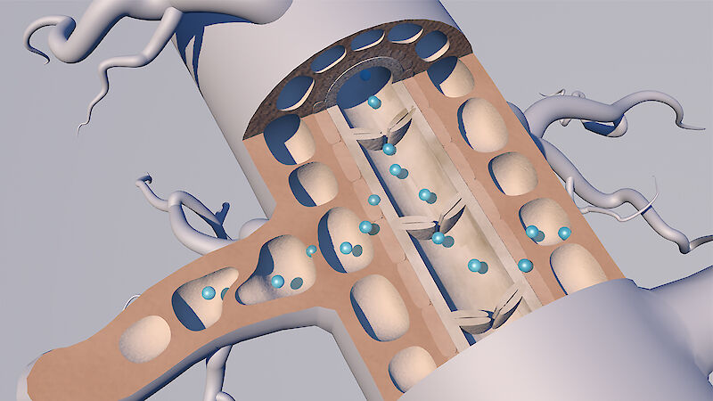 All the Leaves are Brown – Knowledge Visualization ZHdK