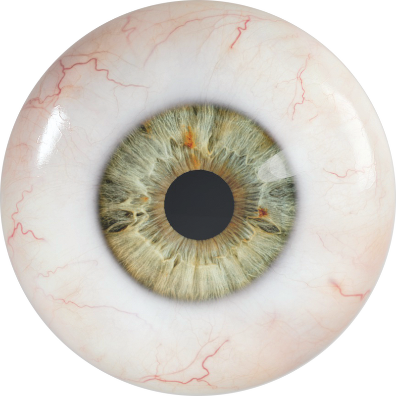 Visible Vision – Knowledge Visualization ZHdK