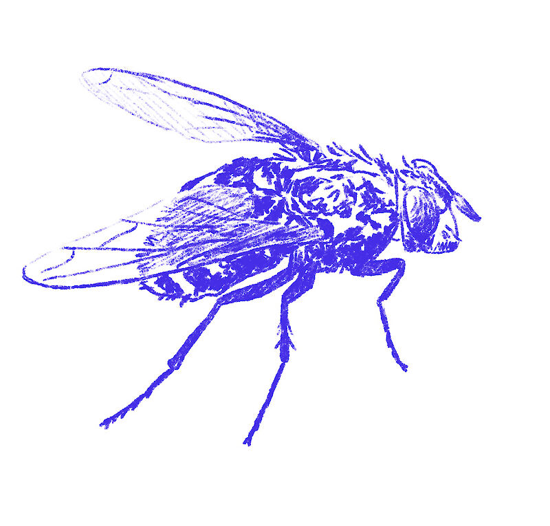 Floral Spectrum – Knowledge Visualization ZHdK