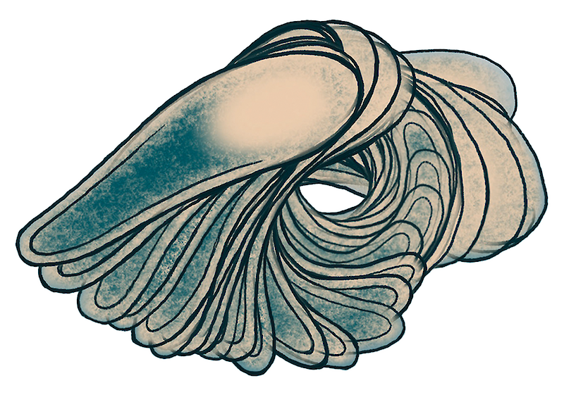 Clone, Create, Cnidaria – Knowledge Visualization ZHdK