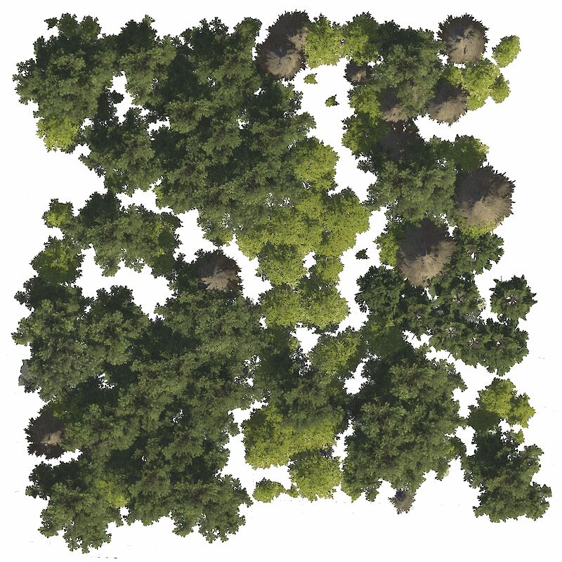 Beyond the Trees – Knowledge Visualization ZHdK