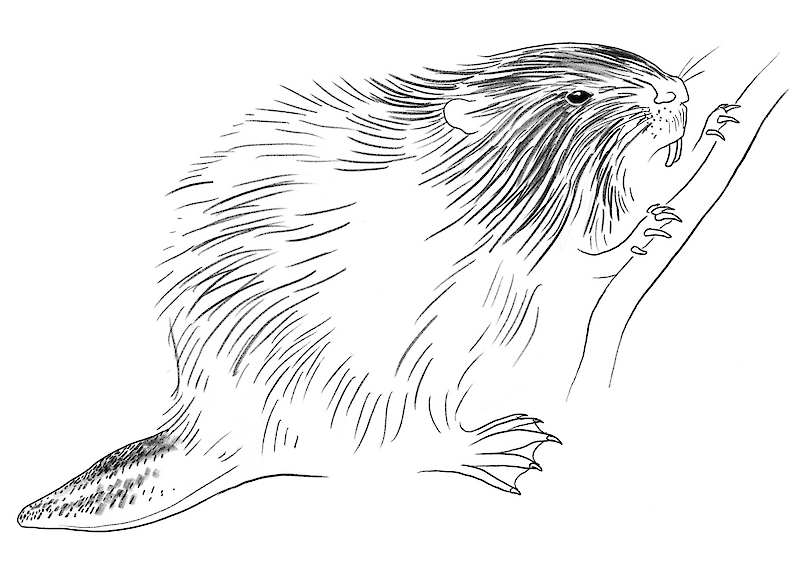 Biss zur Vielfalt – Knowledge Visualization ZHdK